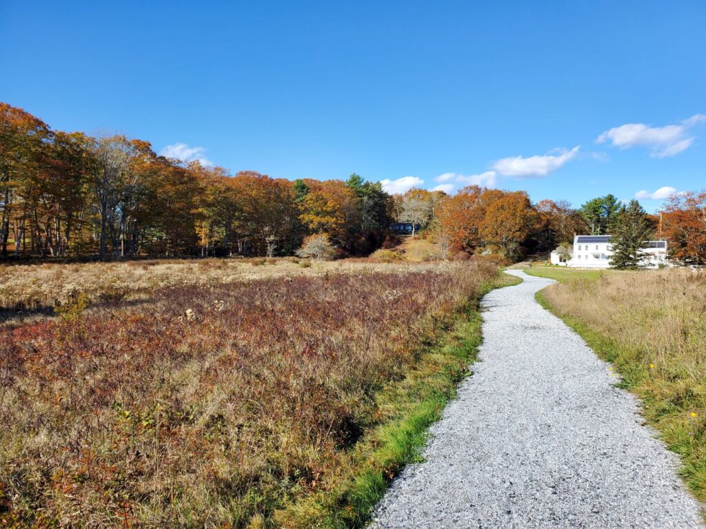 The Remarkable Red Oak - Boothbay Region Land Trust