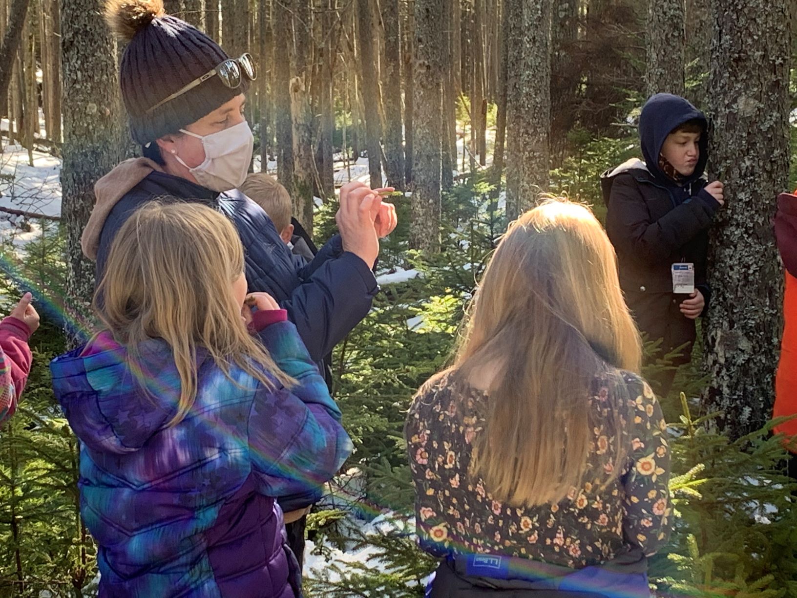 Children and Trees - Boothbay Region Land Trust