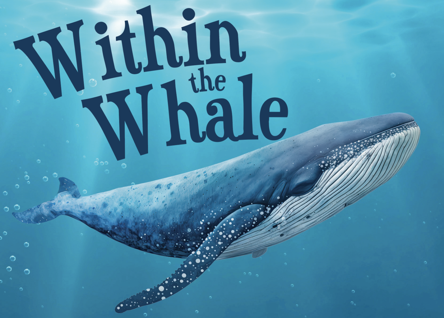 Within the Whale: Step Inside a Life-size Inflatable Humpback Whale ...