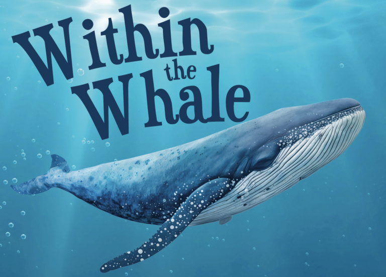Within the Whale: Step Inside a Life-size Inflatable Humpback Whale ...